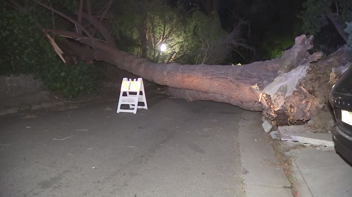 Furious Winds, Frigid Temperatures, High Surf Strike SoCal – NBC Los ...