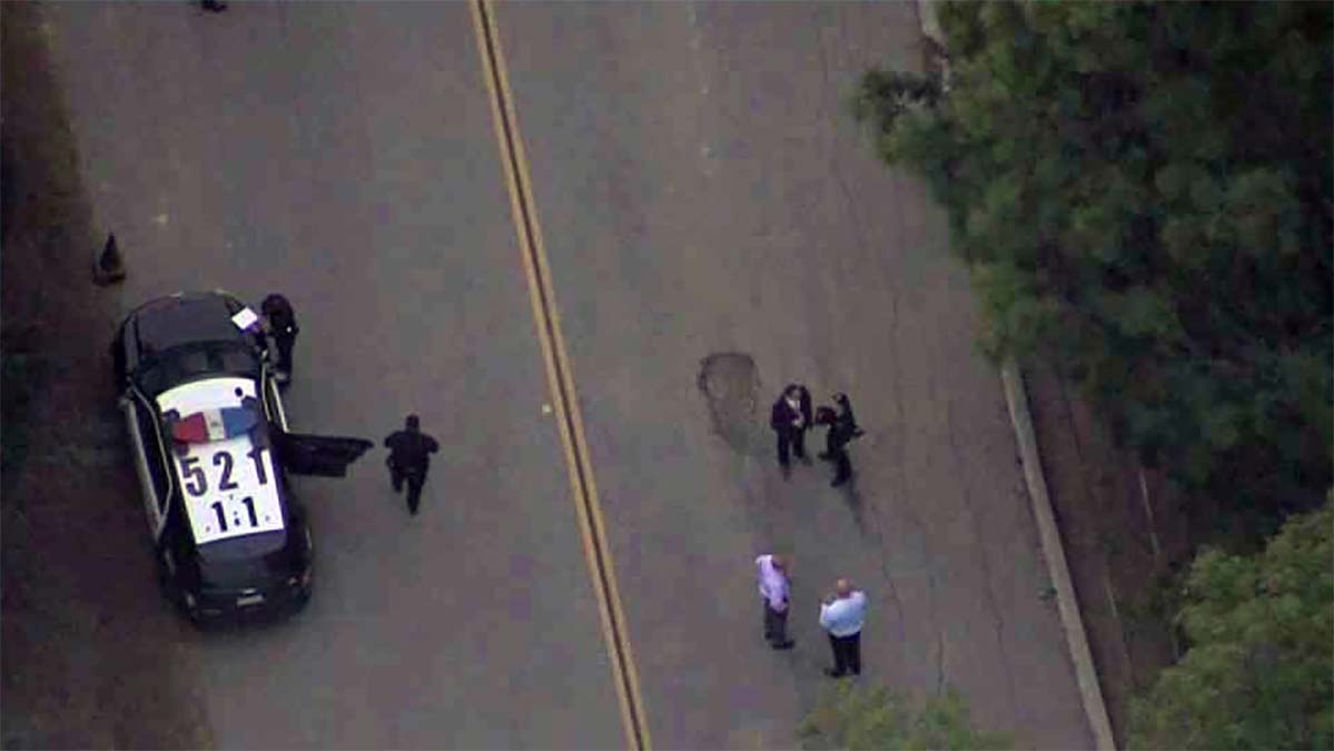 Rangers Find Body of Woman in Brush at Griffith Park – NBC Los Angeles