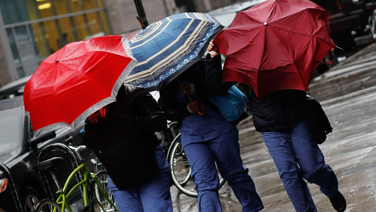 See LA rainfall totals, so far – NBC Los Angeles