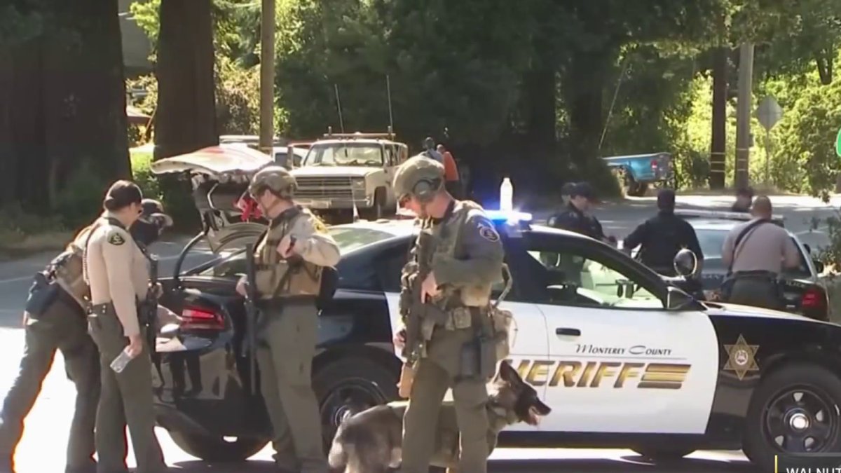 Bay Area Attacks on Law Enforcement Likely Acts of Domestic Terrorism ...