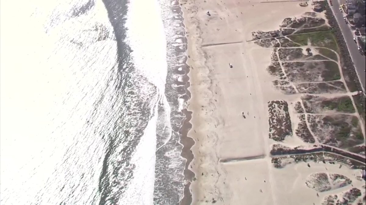 Shark Sighting Reported in Coronado – NBC Los Angeles