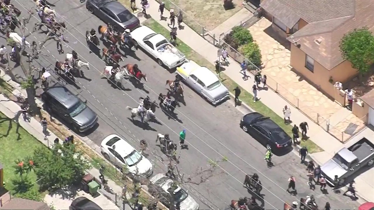 Protest in Compton Features People on Horseback – NBC Los Angeles