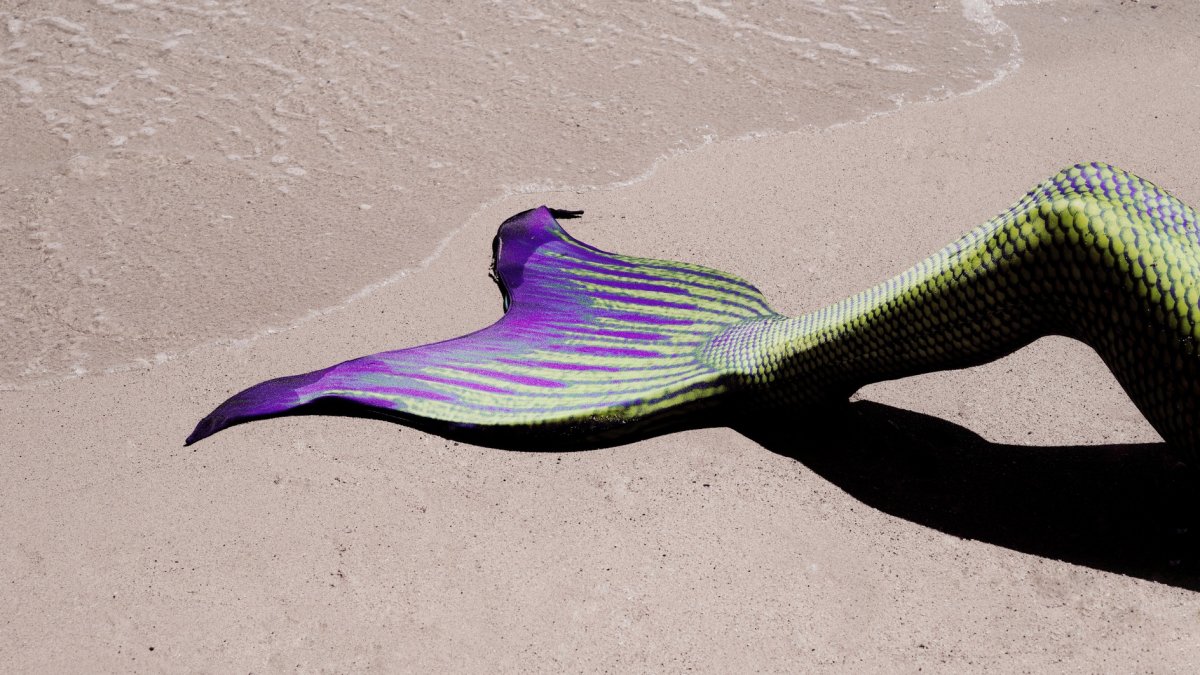 Fin-ally: It’s Almost ‘Mermaid Month’ at Ventura Harbor Village – NBC ...