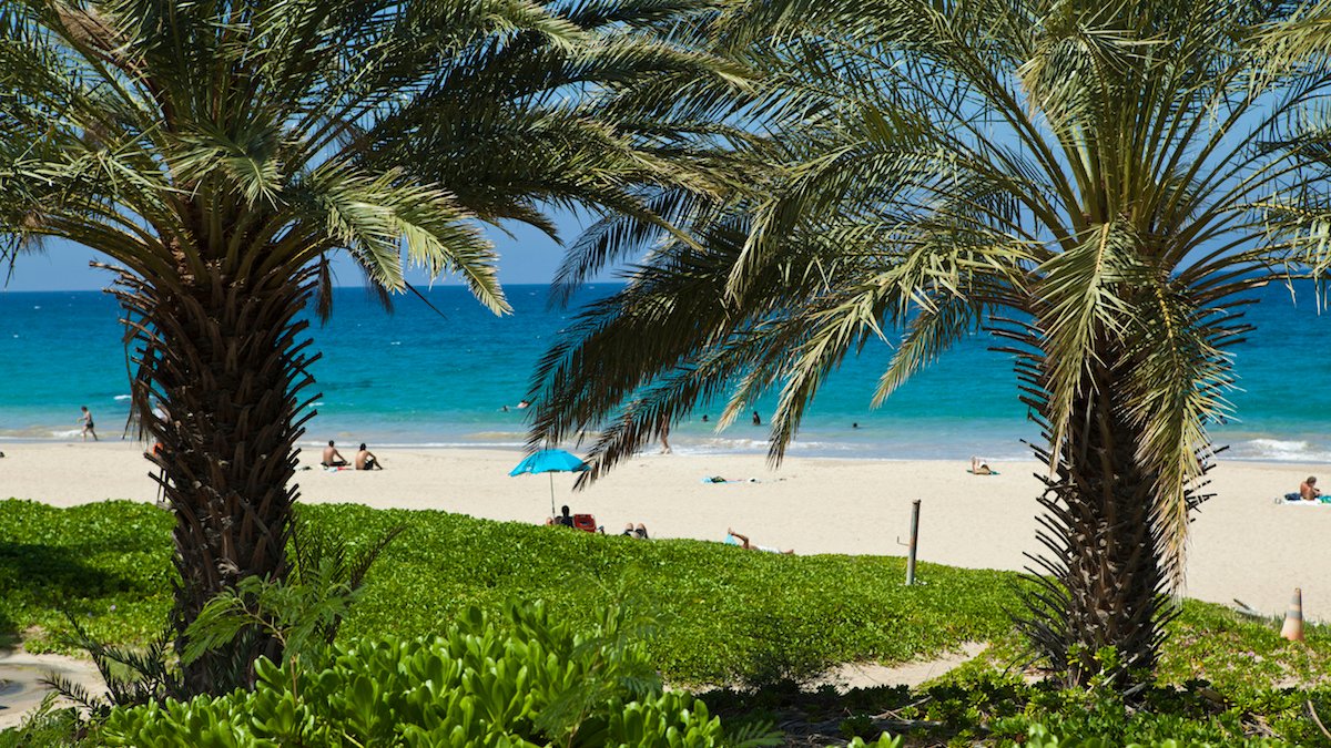 The Top 10 Beaches in America for 2021 – NBC Los Angeles