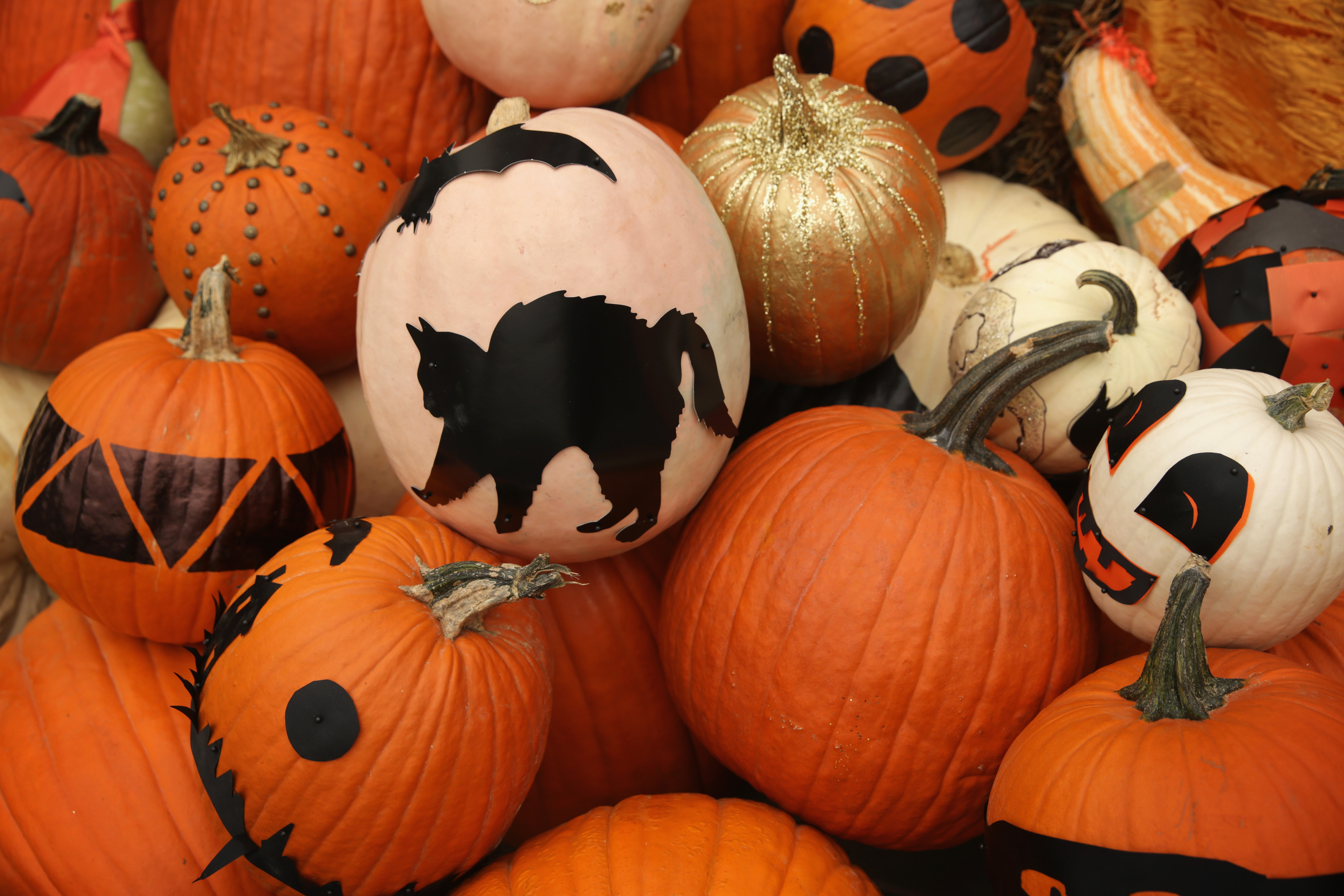 Halloween During a Pandemic: CDC Ranks Risk Level of Holiday Traditions ...