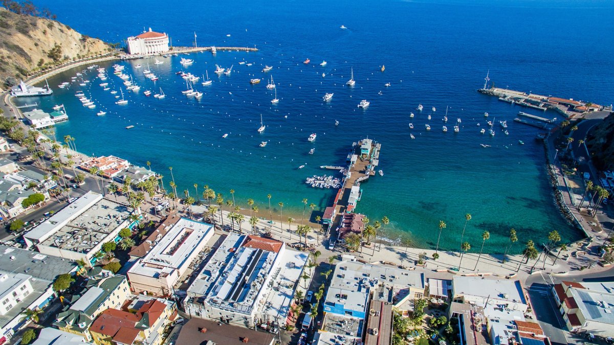 Don Your Scuba Gear and Help Clean a Famous Catalina Harbor – NBC Los ...