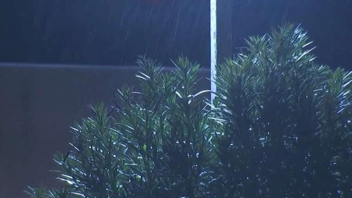 Heavy Snow Prompts Grapevine Closure – NBC Los Angeles