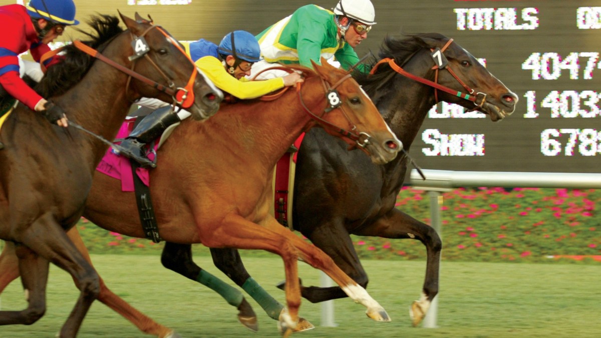 Is Hollywood Park Horse Racing on its Last Legs? – NBC Los Angeles