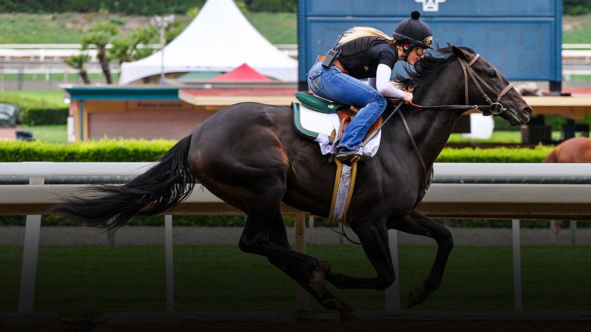 ‘Tough Game for Women’: Female Jockeys Missing Again at Triple Crown ...