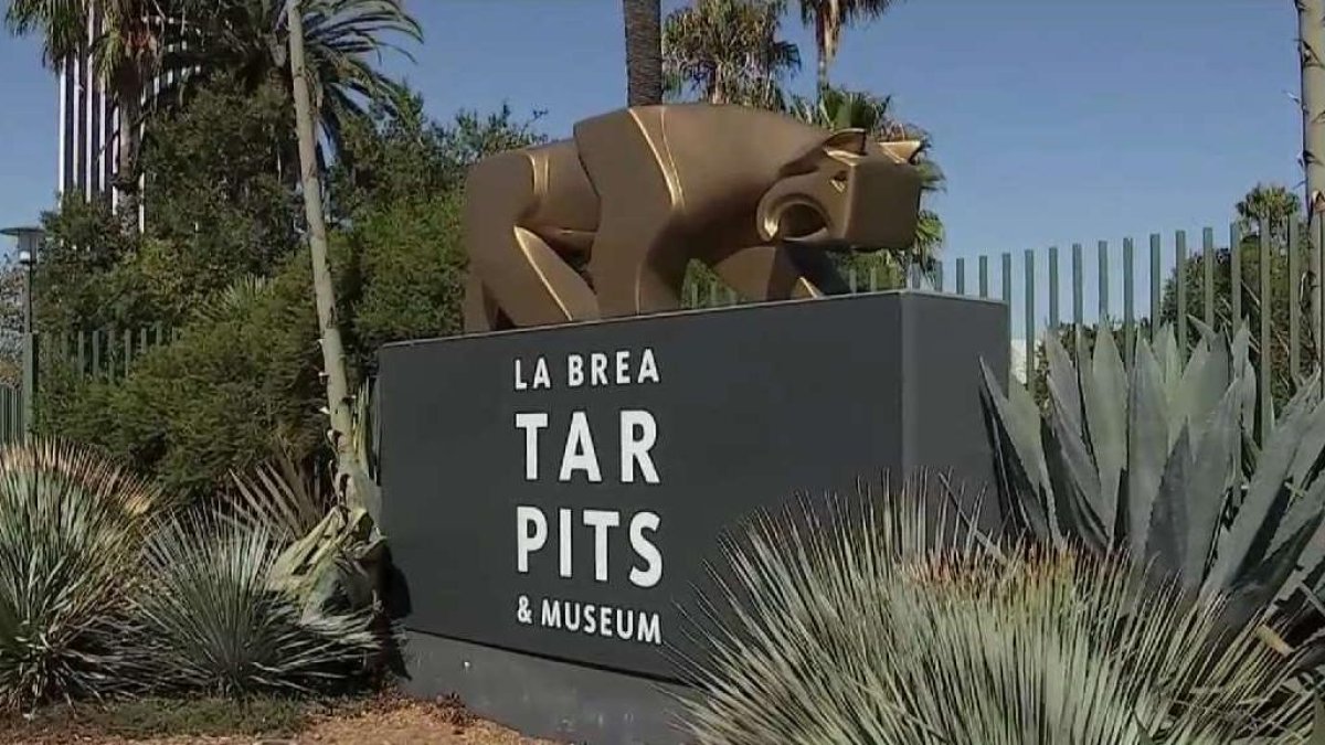 La Brea Tar Pits Selected as Geological Heritage Site – NBC Los Angeles