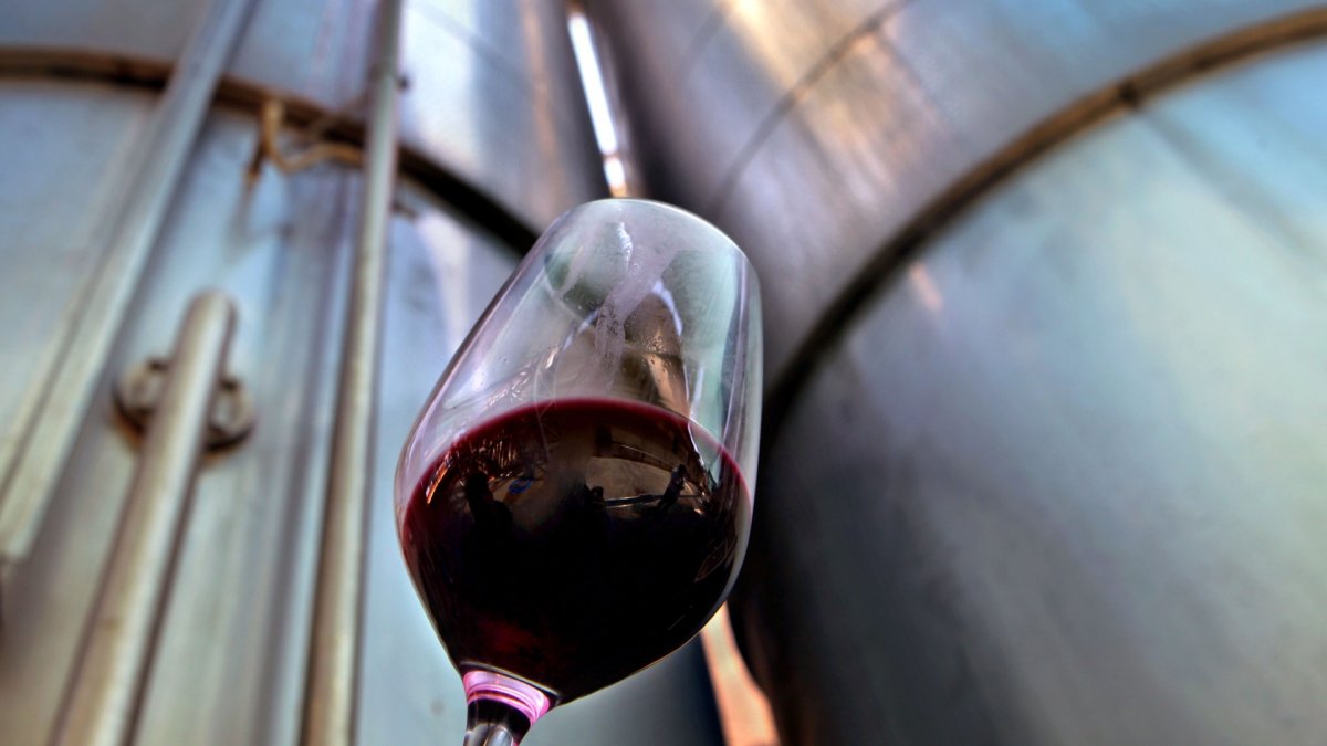 NorCal Vineyard Spills 100k Gallons of Red Wine – NBC Los Angeles