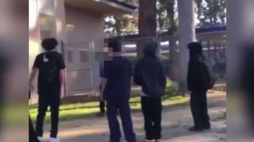 fighting in middle school