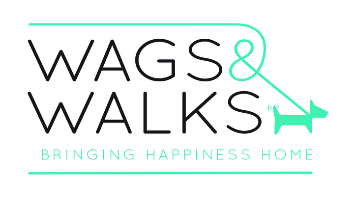 Wags and Walks – NBC Los Angeles