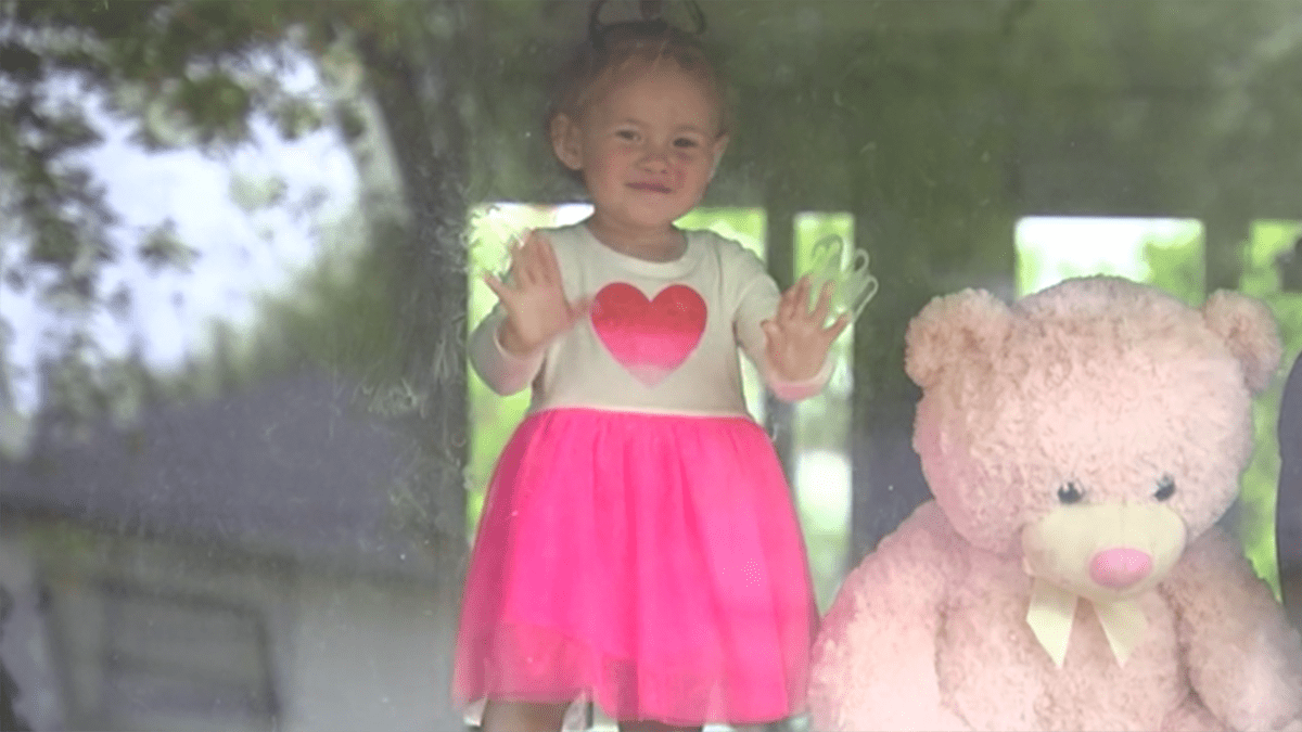 Teddy ‘Bear Hunts’ Add a Bit of Cheer to Social Distancing – NBC Los ...