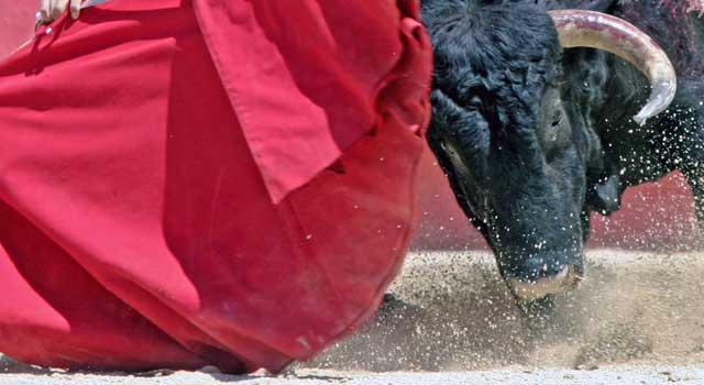 No Bull: Officer Stops Bullfight in Artesia – NBC Los Angeles