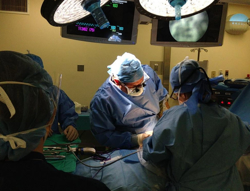 Patients Recovering Following Rare Six-Way Kidney Transplant in San ...