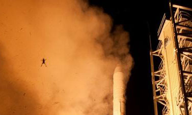 Frog Blasted Into Air During Rocket Launch – NBC Los Angeles