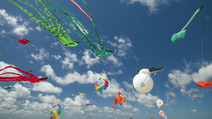 Admire Kites on the Ocean Breeze – NBC Los Angeles