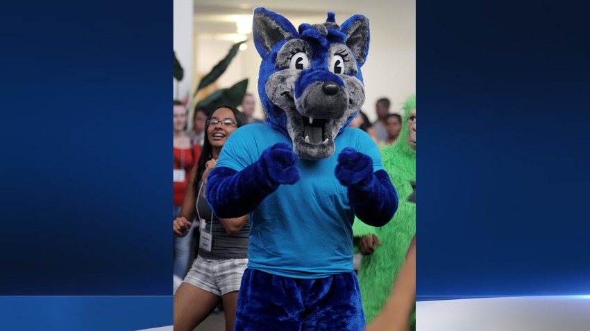 Thief Steals Cal State San Bernardino’s Cadee the Coyote Mascot Costume ...