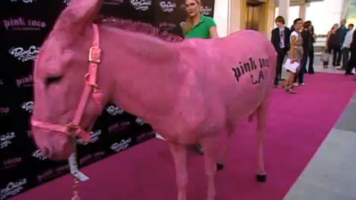 Century City Restaurant Takes Heat for Painting Donkey – NBC Los Angeles