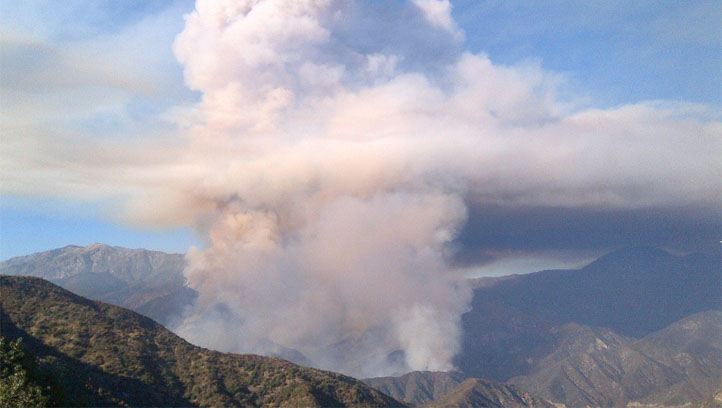 Williams Fire 100 Percent Contained, Forest Officials Say – NBC Los Angeles