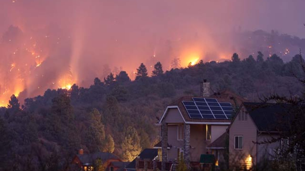 Govt. Agency to Fund 11,000 Miles of Fuel Breaks in California, 5 Other ...