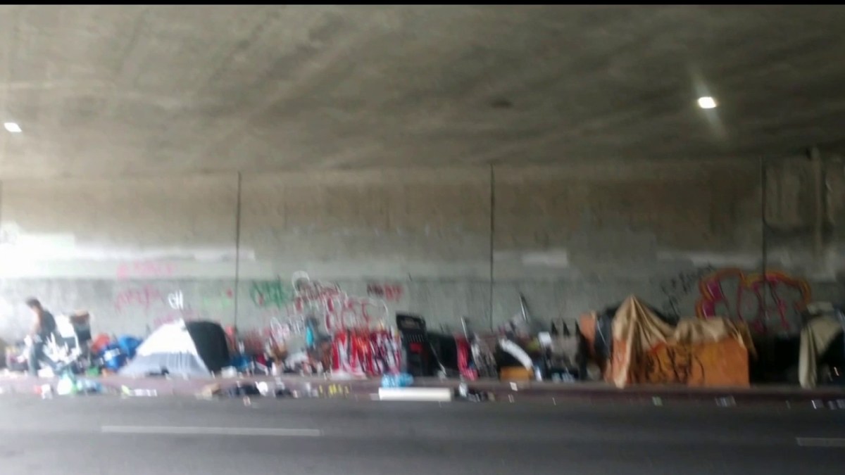 Could Homeless Encampments Under Freeway Overpasses Disappear Soon ...