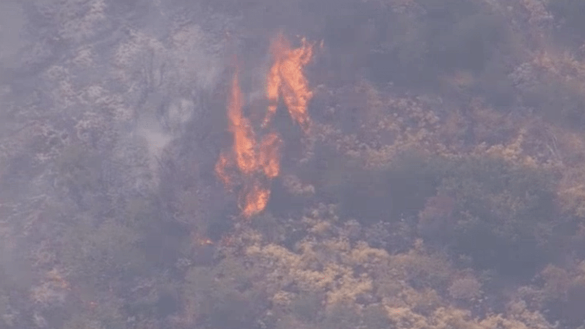 Evacuation Orders Lifted as Fire Stops Burning Toward Homes in Azusa ...