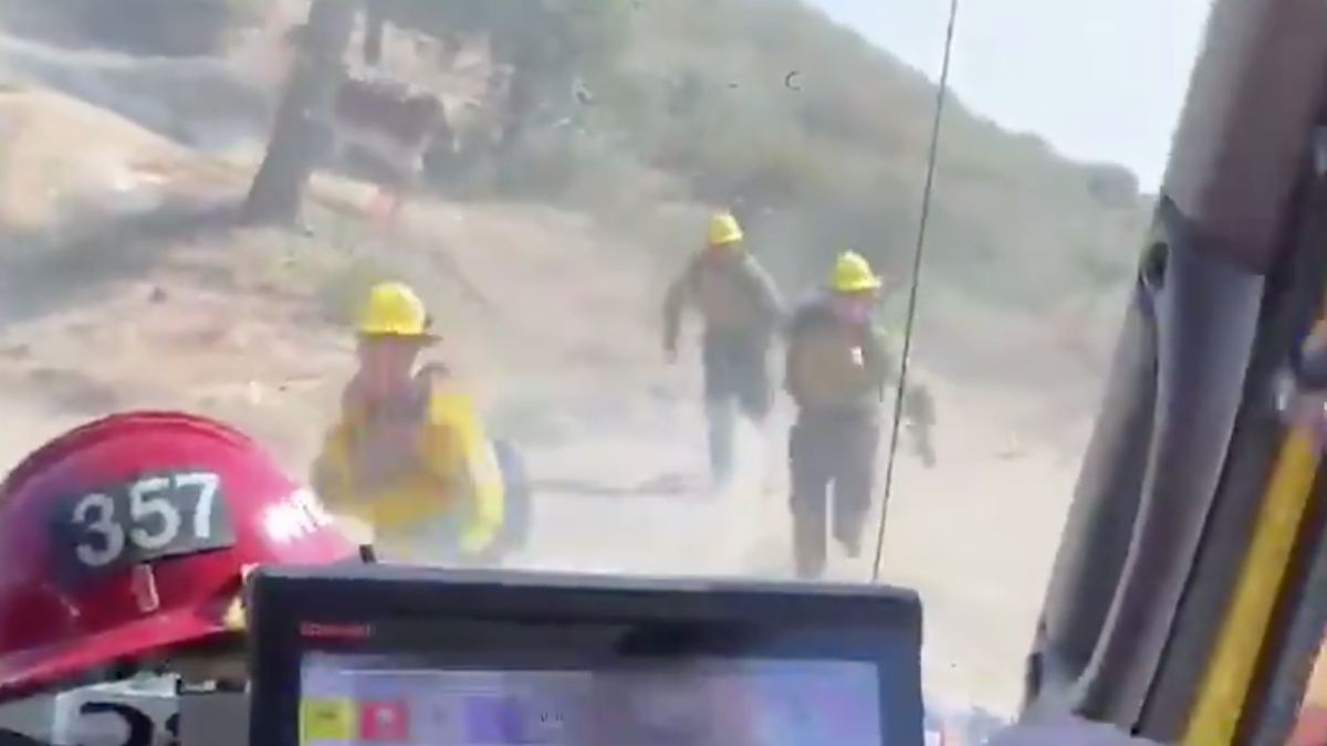 Watch: Bull Chases Firefighters Working to Contain Wildfire North of LA ...