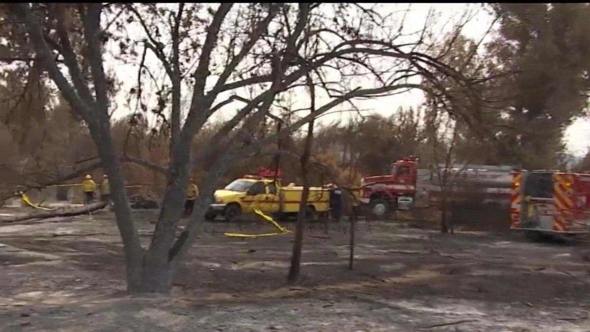 One Dead, One in Custody in Sepulveda Basin Fire – NBC Los Angeles