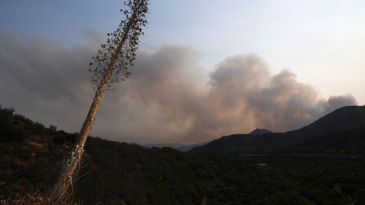 Smoke Advisory Extended as Bobcat Fire Continues to Burn in Angeles ...
