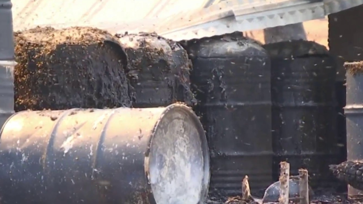 Beekeepers Caught in Path of Destructive Bobcat Fire – NBC Los Angeles