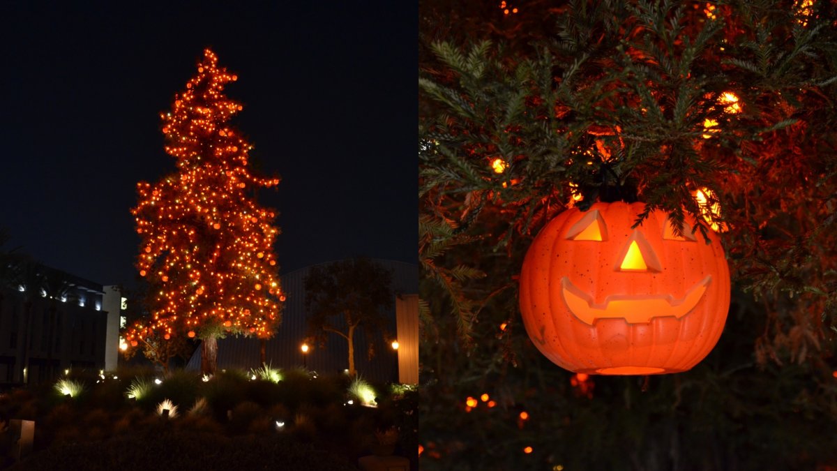 There’s a New Halloween Tree in Downtown Anaheim – NBC Los Angeles