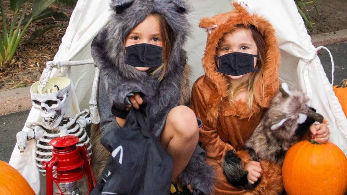 Call Upon the ‘Spooky Zoo’ in Santa Barbara – NBC Los Angeles