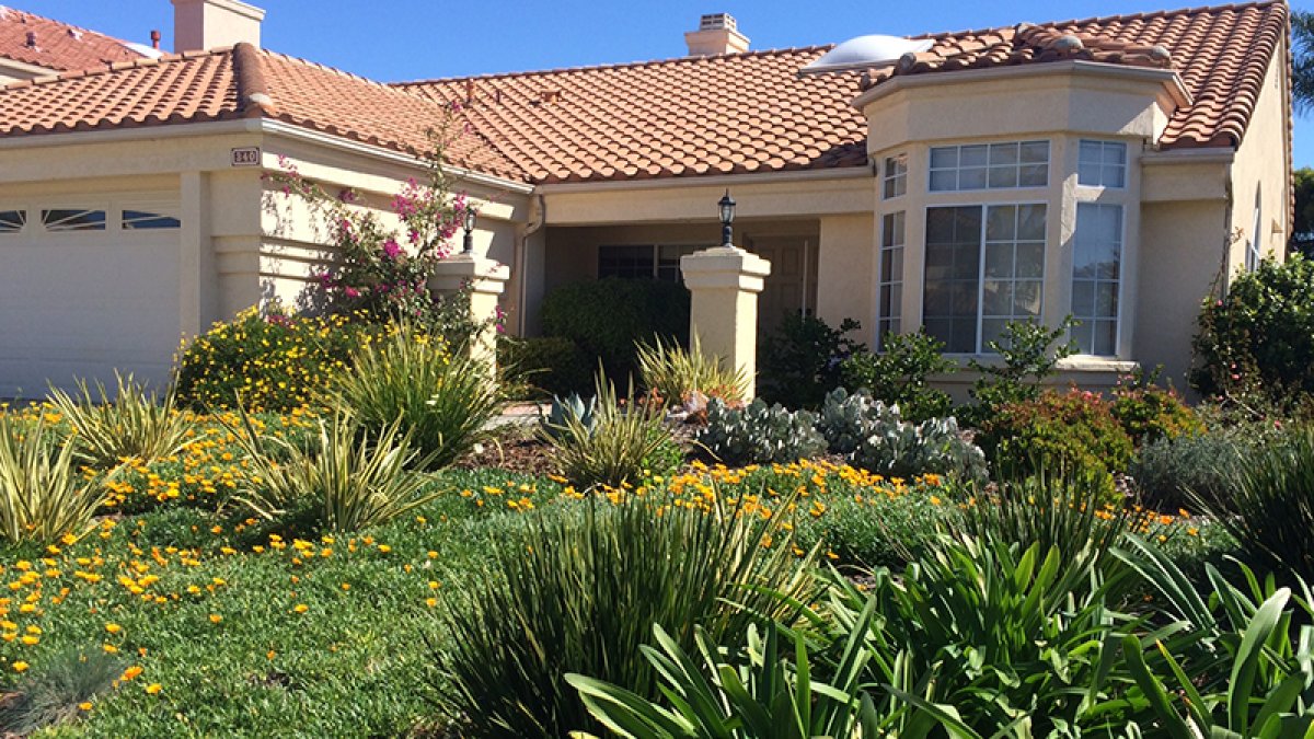 City of LA gets major funding for turf replacement program – NBC Los ...