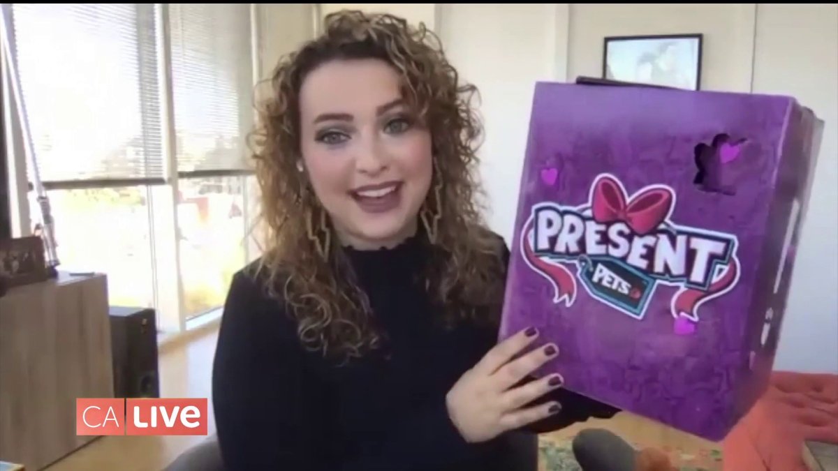 The Inside Scoop on the Hottest Toys of 2020 – NBC Los Angeles