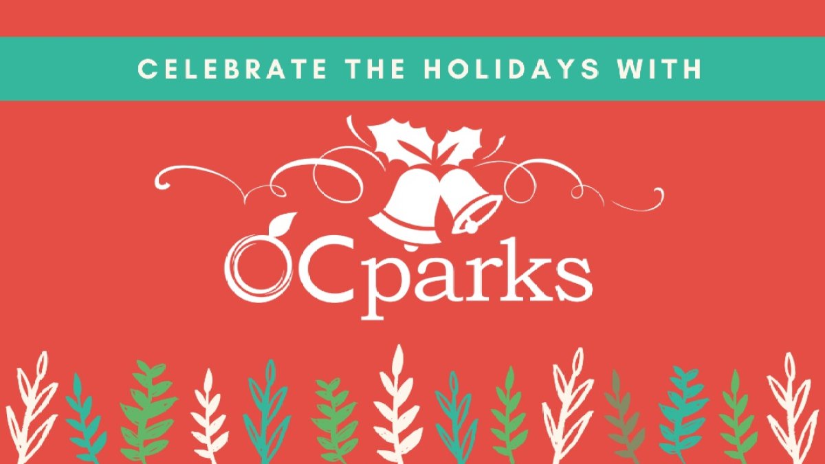 OC Parks Is Offering Holiday Drive-Ins and At-Home Fun – NBC Los Angeles