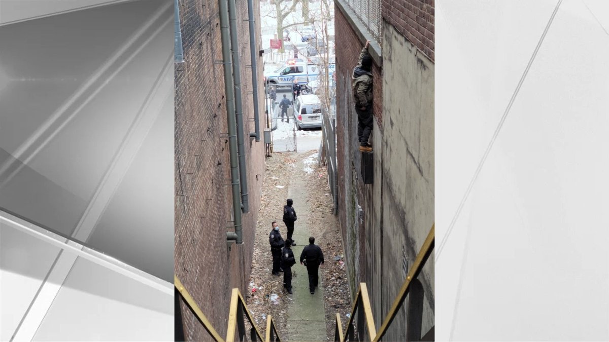 NYC Ice Cream Heist Ends With Suspect Clinging to Side of Building ...