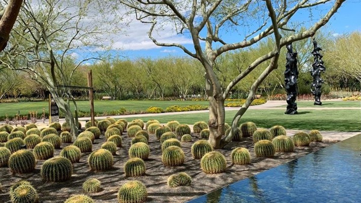 Stroll the Sunny Sunnylands Gardens for Free – NBC Los Angeles