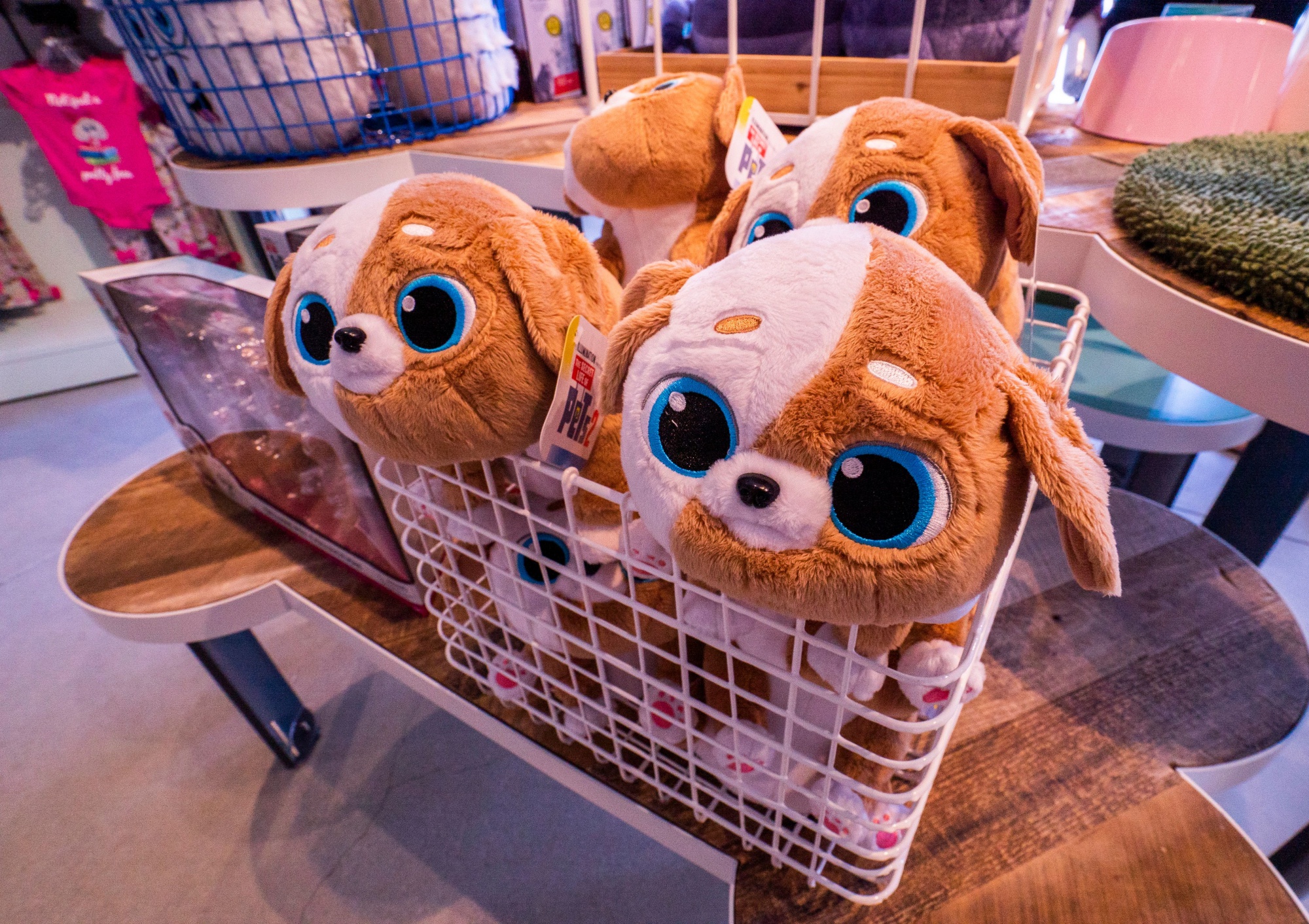Universal Studios Hollywood s New Pets Store Opens NBC Los Angeles universal-studios-hollywood-s-new-pets-store-opens-nbc-los-angeles