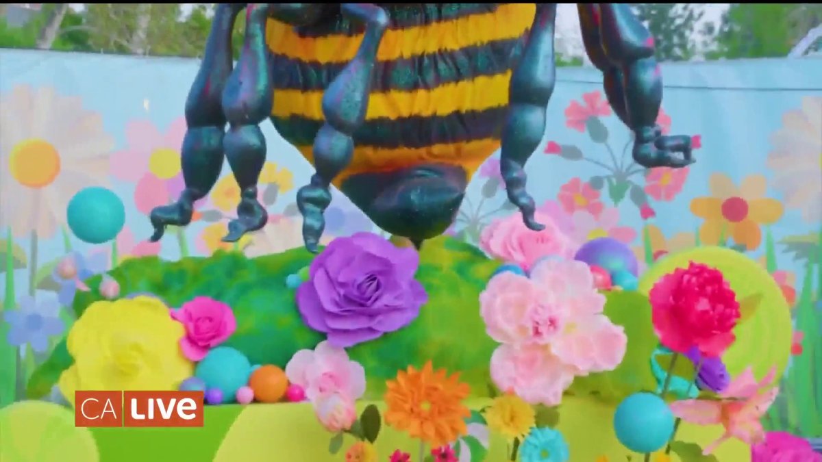 Don’t Miss Sugar Rush: A Kid’s Dream Come True – NBC Los Angeles