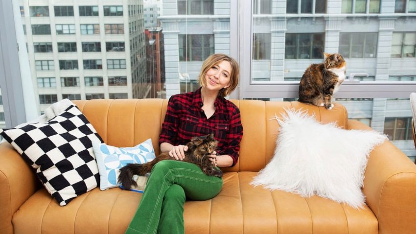 Ex-MMA Fighter Jason ‘Mayhem’ Miller Testifies in Domestic Violence ...