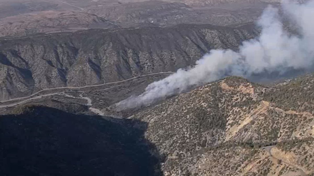 Crews Battle Spring Fire in Angeles National Forest – NBC Los Angeles