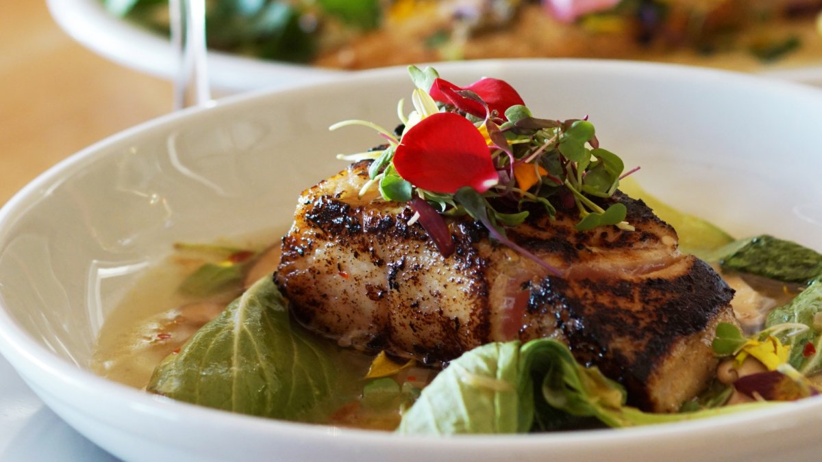 Happy 15th, Newport Beach Restaurant Week – NBC Los Angeles