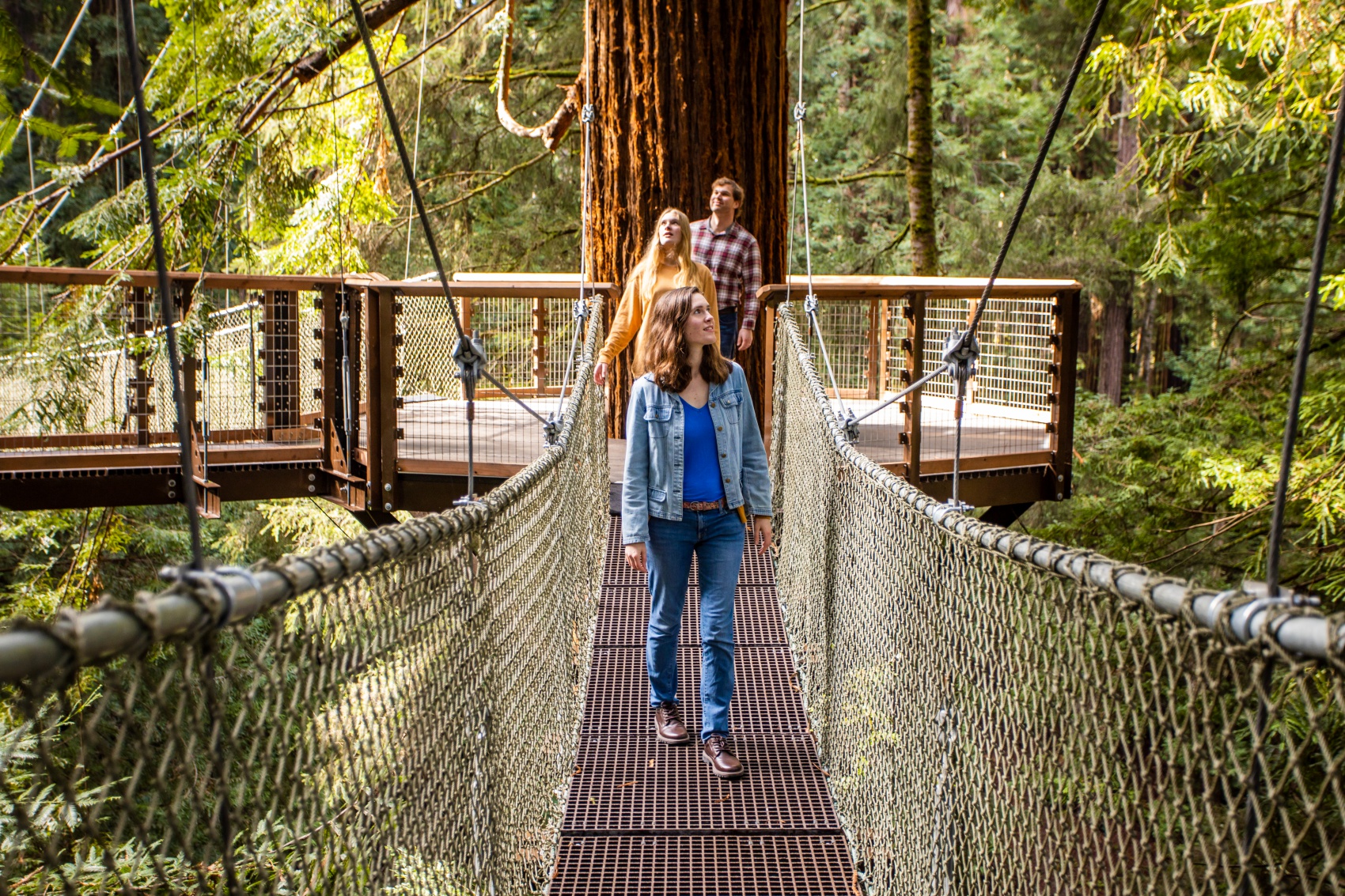 Walk Among the Redwoods on a Dazzling New Sky Walk – NBC Los Angeles