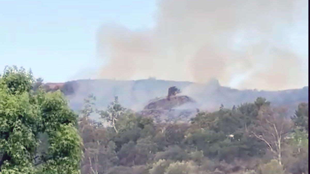 Brush Fire Burns in Hills Above Pasadena – NBC Los Angeles