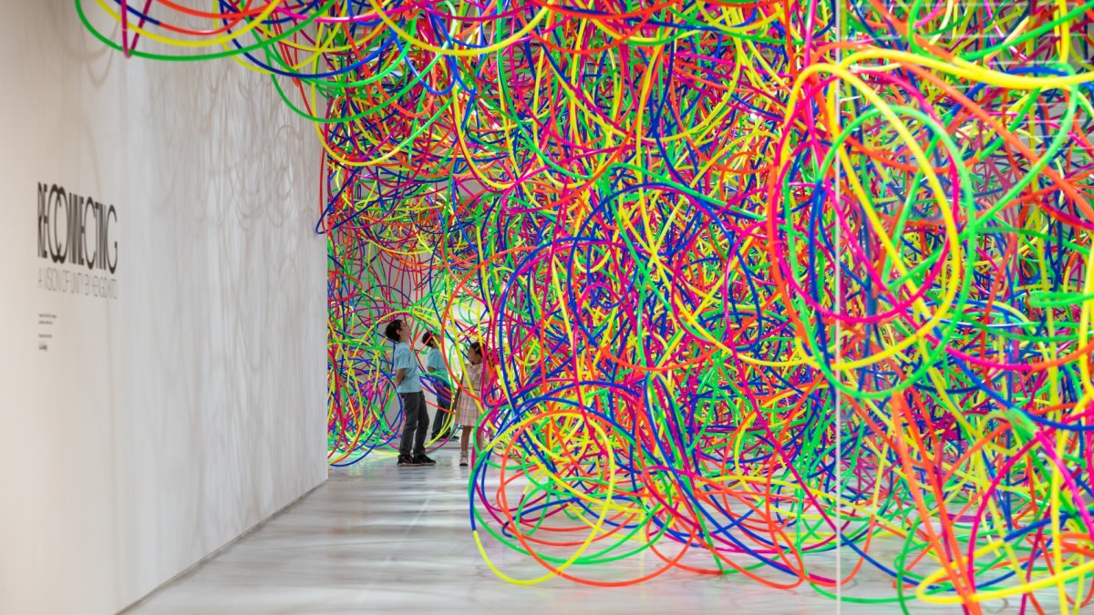 2,021 Hula Hoops Fill an Amazing Hollywood Exhibit – NBC Los Angeles