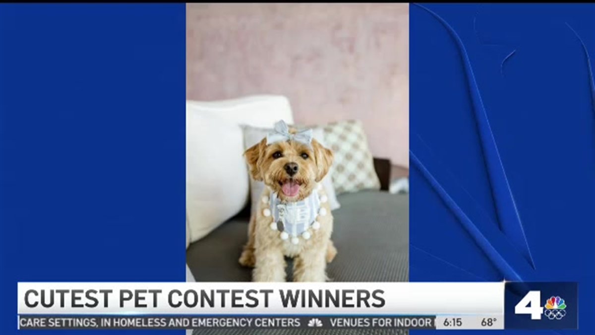 Cutest Pet Contest Winners 2021 – NBC Los Angeles