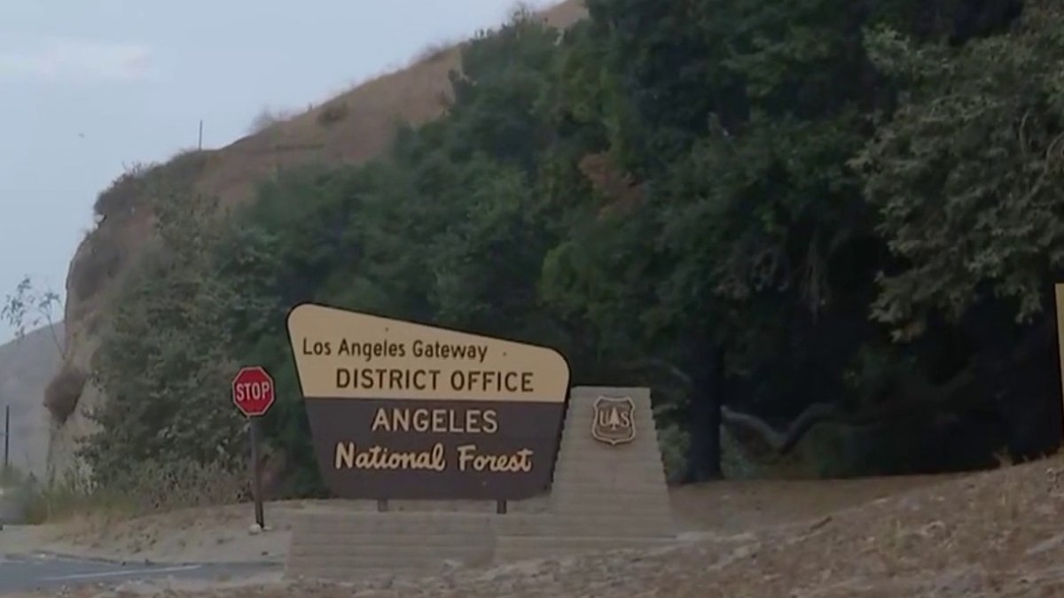 Plan a visit to Angeles National Forest with these safety tips – NBC ...