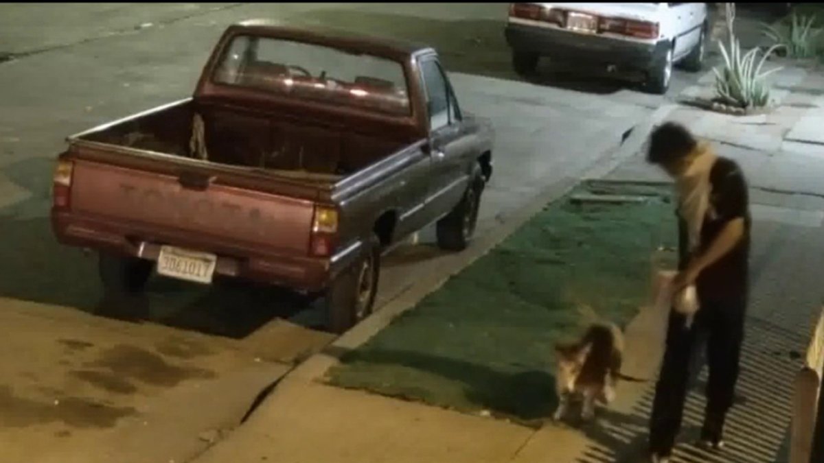 Man Accused of Setting Own Dog on Fire in Animal Cruelty Case – NBC Los ...